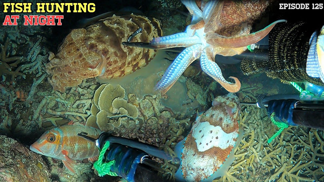 NIGHT SPEARFISHING EPISODE 125 | FISH HUNTING AT NIGHT - YouTube