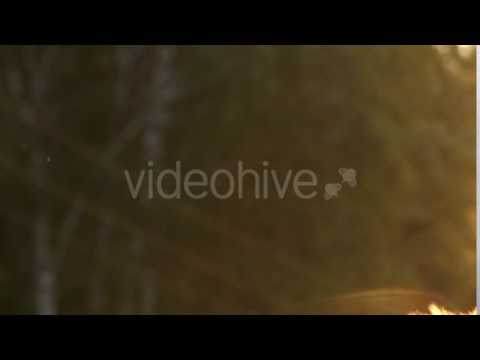 a Young Girl in Slow Motion Shake Her Head and Playing With Hair. the Action Takes Place at Sunset.