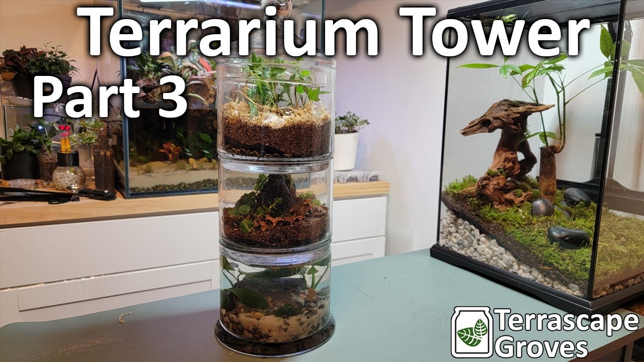 Terrarium Tower - Part 3 - YouTube