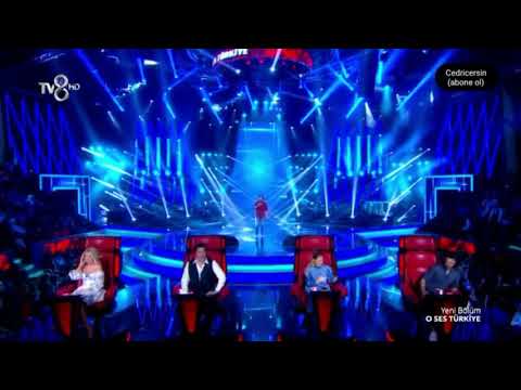 Despacito O Ses Türkiye