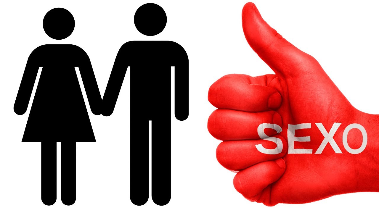 3 datos curiosos sobre el setso - YouTube