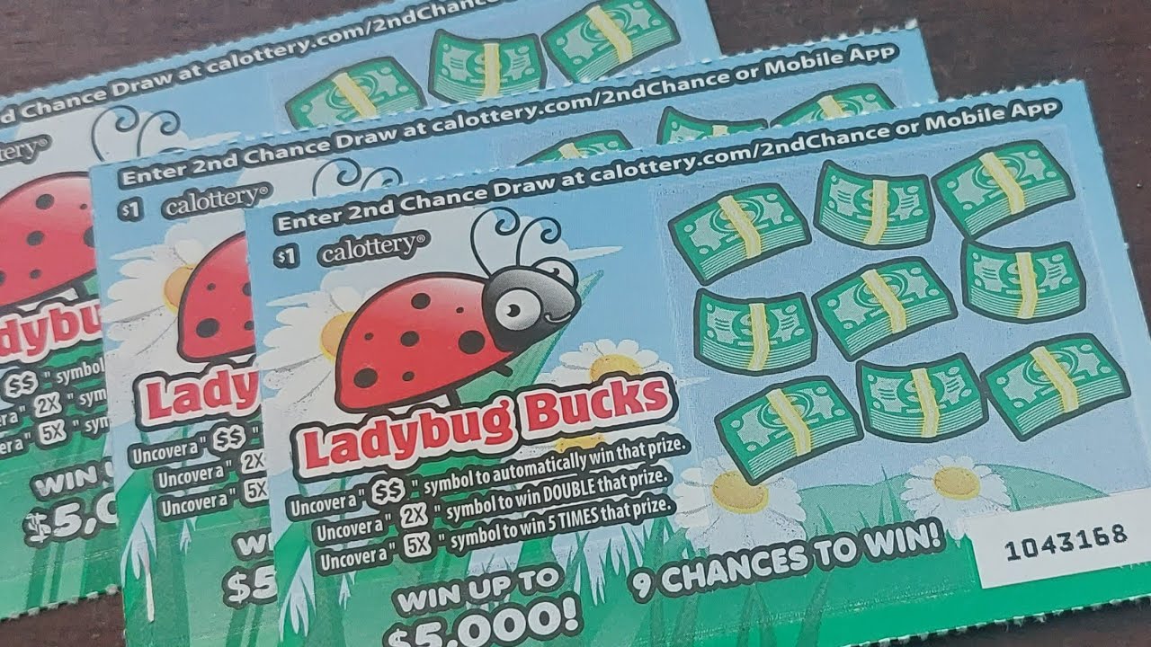 Lady Bug Bucks $1 California Lottery Scratcher x3 - YouTube