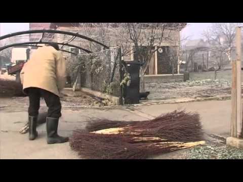 Bluz brezove metle -  Šaban Golub iz Busovače