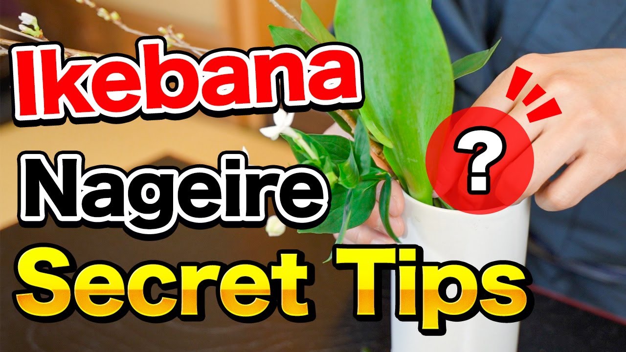 Ikebana Tips | The Secret Way to Arrange Nageire Style Ikebana Easily ...