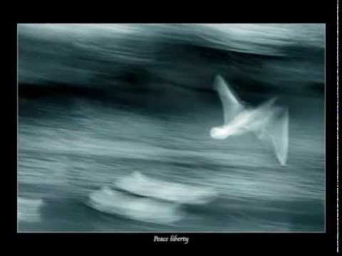 Murat Çelik- Gülziya