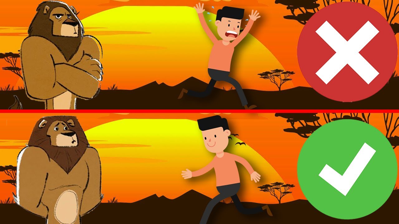 Top Ten Tips On How To Survive Wild Animal Attacks - YouTube