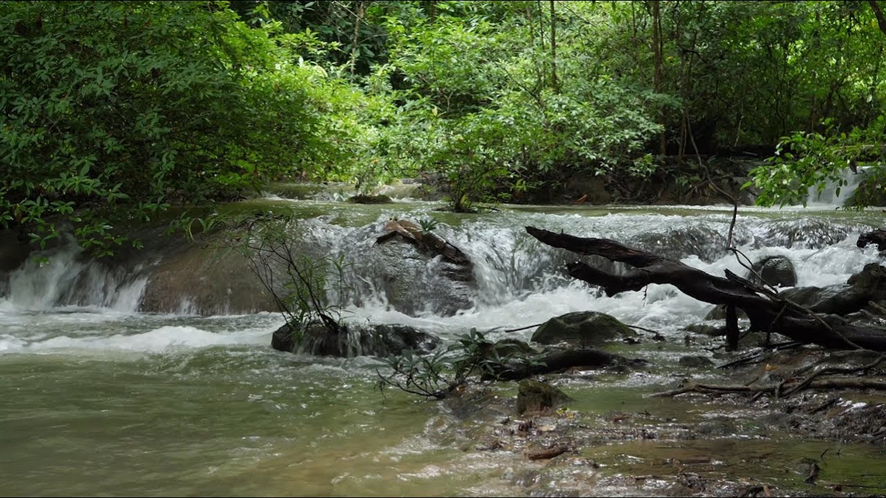 THEODORE KIDD - DEAR (OFFICIAL MUSIC VIDEO) - YouTube