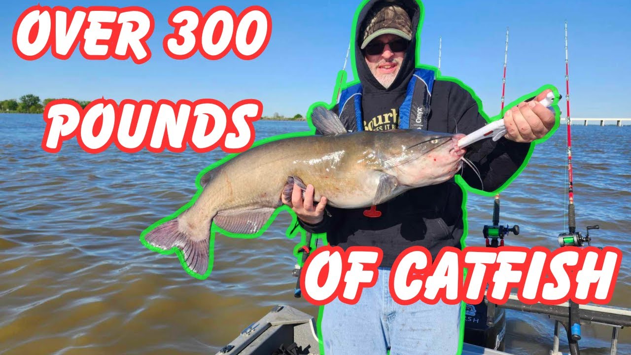 We caught HUNDREDS of pounds of HUGE channel cats | UNBELIEVEABLE catfish action - YouTube