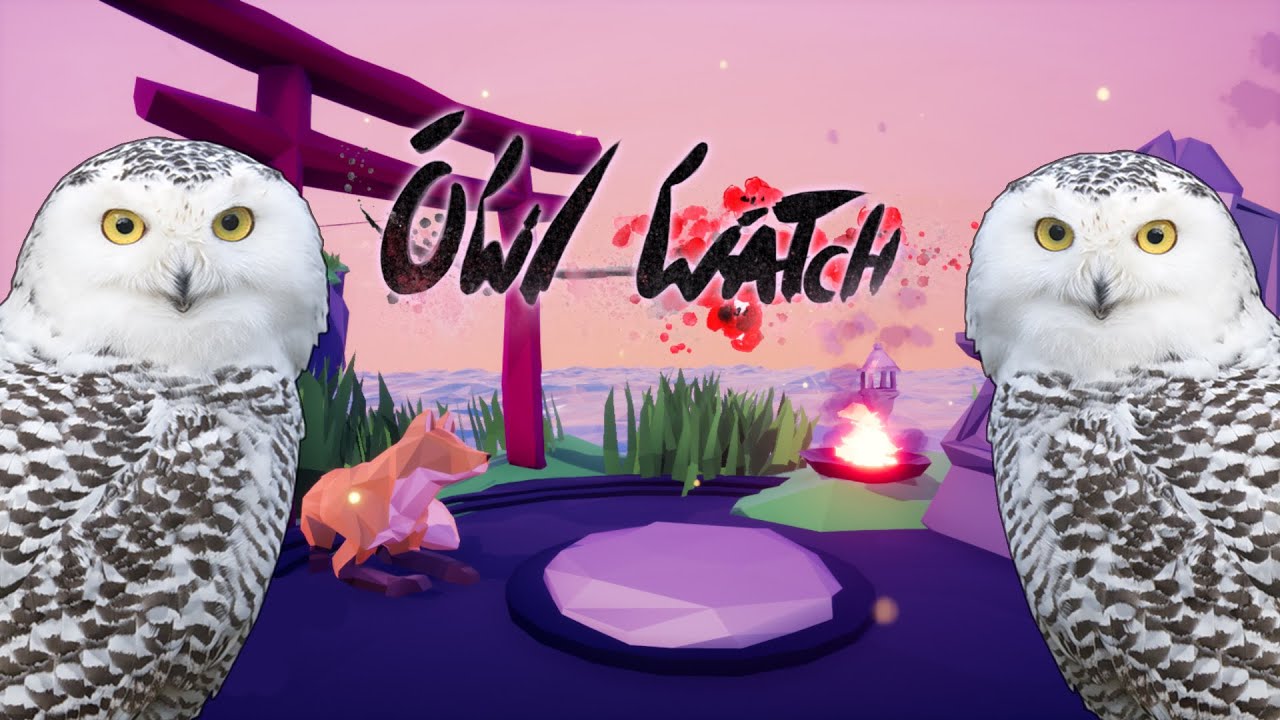 OWL WATCH - YouTube