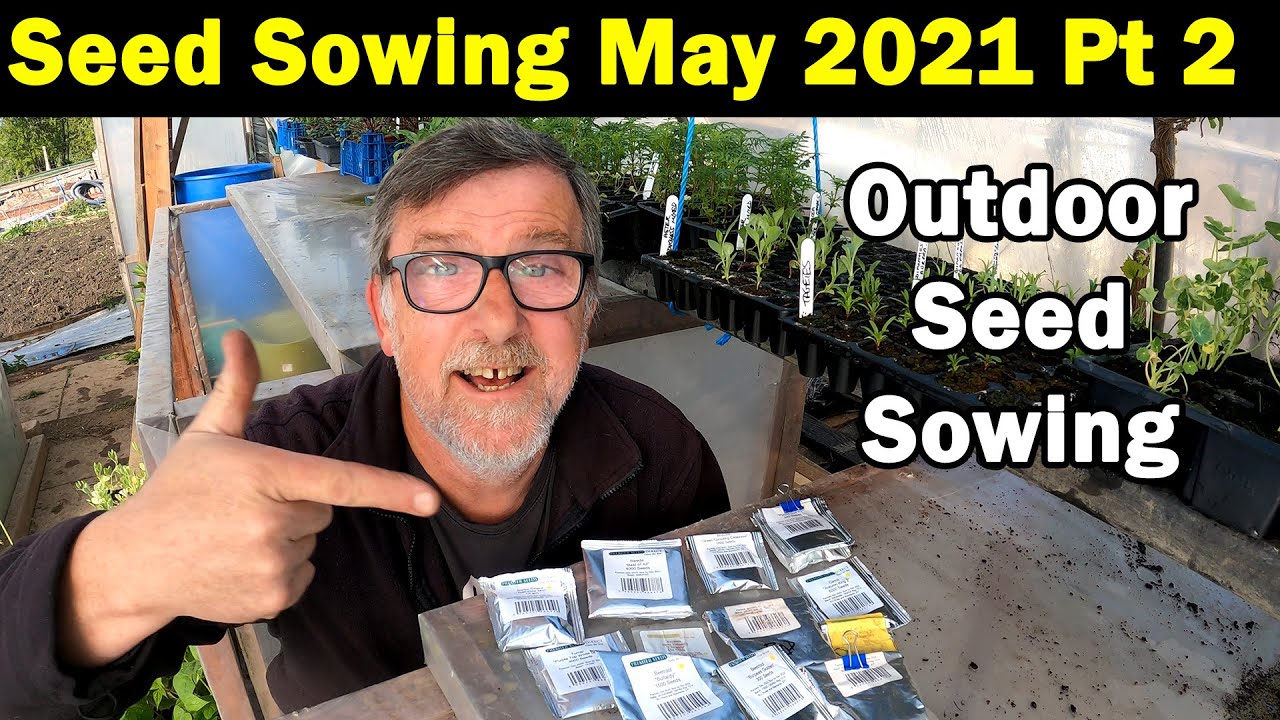 Seeds to Sow in May Pt 2 | Seed Sowing in May | Vegetable Sowing ...