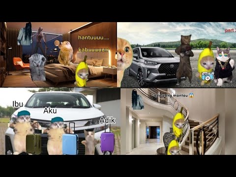 pov kompilasi seru meme kucing 10 menit || meme kucing lucu #pov #memecats #cat #memecatsviral ...