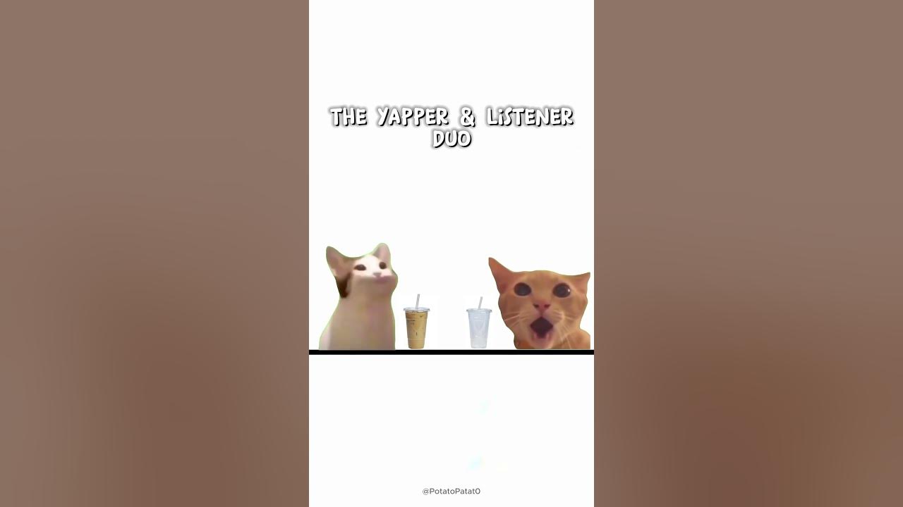 Yapper And Listener Duo Cats Youtube
