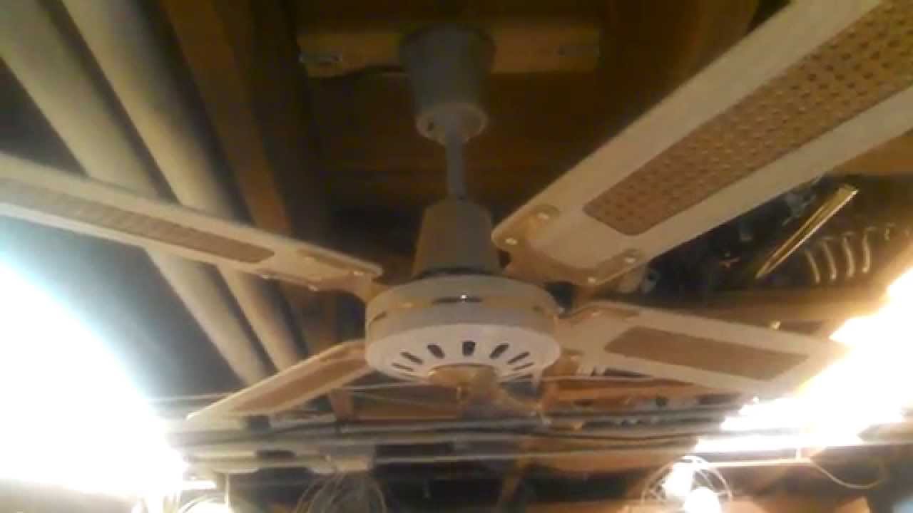 Banvil/Envirofan "Decorafan" and Classic Concepts/Palco Ceiling Fans ...