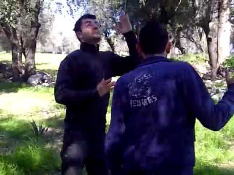 iste gercek apaciler