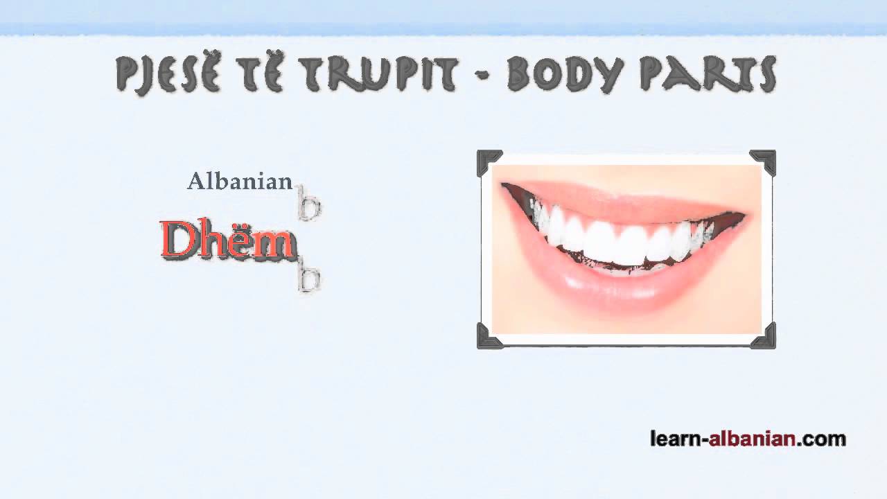 Body Parts in Albanian / Learn Albanian language - YouTube