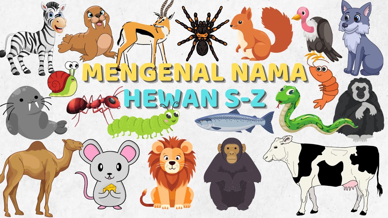 BELAJAR TEBAK NAMA HEWAN AWALAN HURUF S SAMPAI Z | LEARN ANIMAL NAMES ...