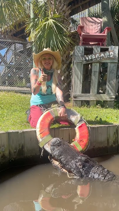 Jaws the Alligator Strikes Again! #youtubeshorts #alligator #shortsfeed ...