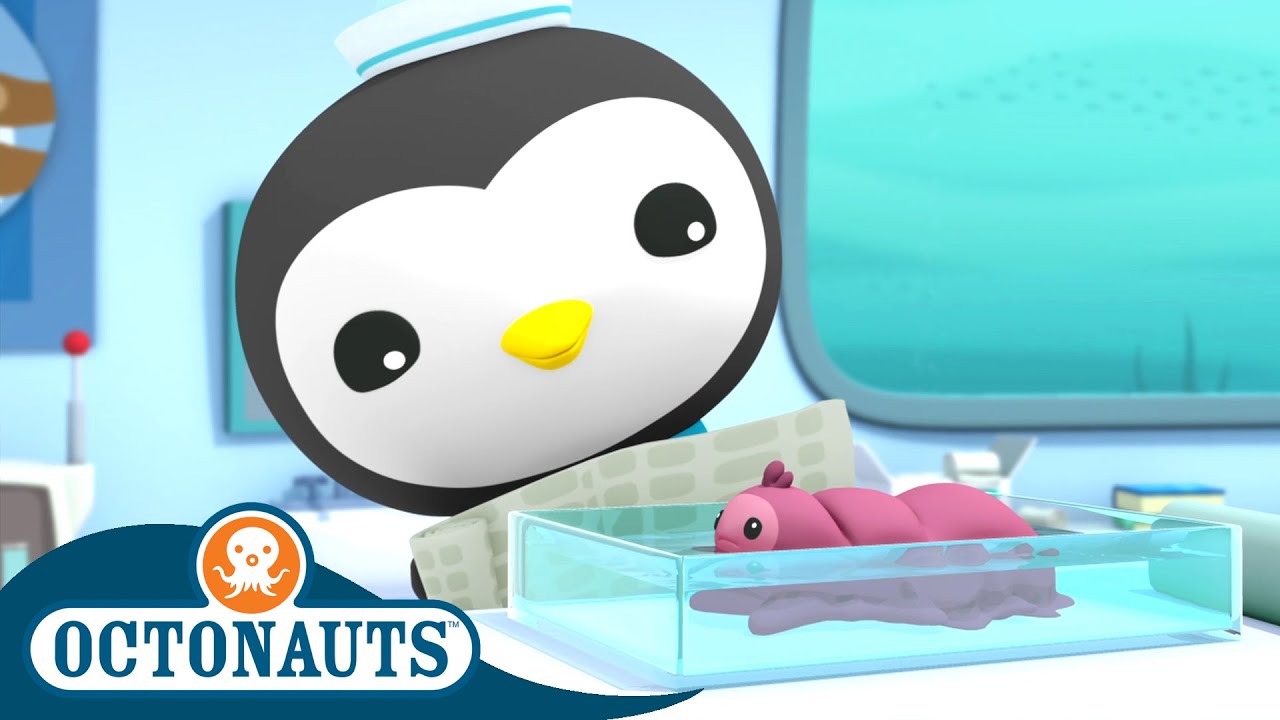 Octonauts - Slippery Snot Cucumber | Full Episode 7 | Cartoons for Kids ...