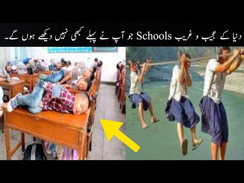 4 Weird Schools in the World | دنیا کے 4 عجیب و غریب اسکول | Sharp Tv ...