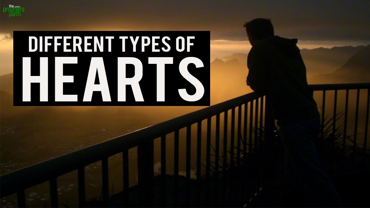 The Different Types Of Hearts - YouTube