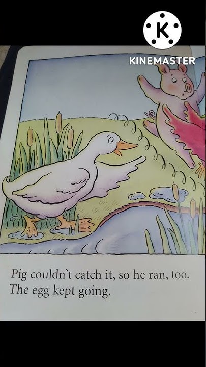 The chick that wouldn't hatch - YouTube