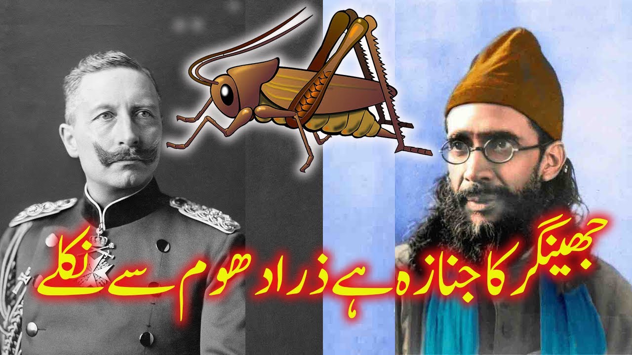 Adnan Khan Kakar presents Khawaja Hassan Nizami's Jheengar ka Janaza ...