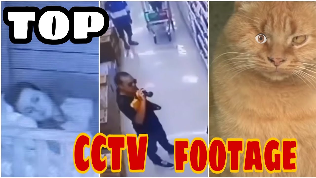 funny things caught on camera!!👁️ (compilation) - YouTube