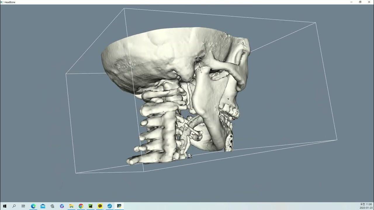 VTK Python Example - HeadBone - YouTube