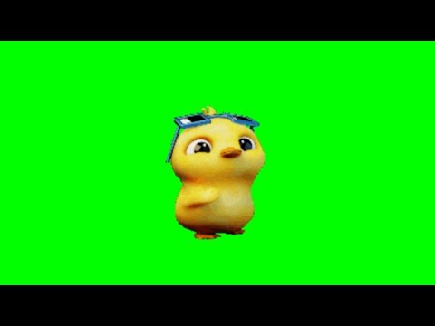 duck green screen #animation #greenscreenanimation - YouTube