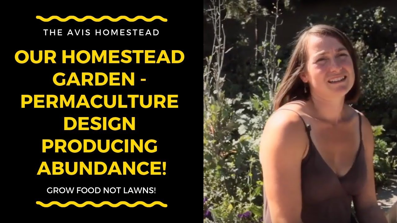 Homestead Garden - Permaculture Design Producing Abundance! - YouTube
