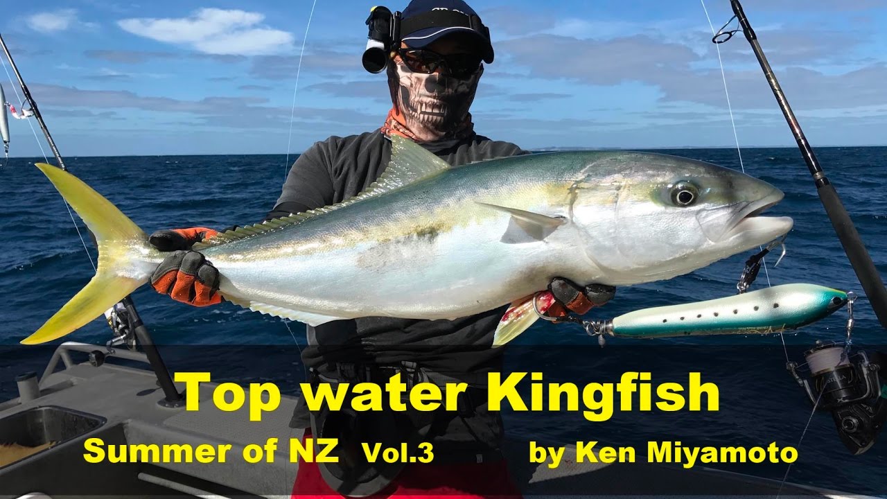 Top water KINGFISH in Summer of NEW ZEALAND 03 - YouTube