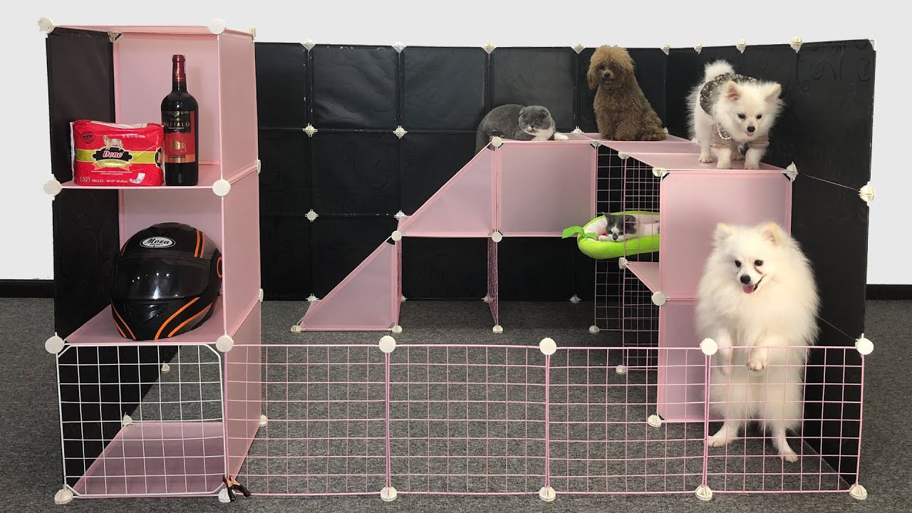 DIY - How To Make Open Dog House for Pomeranian Poodle Puppies and ...