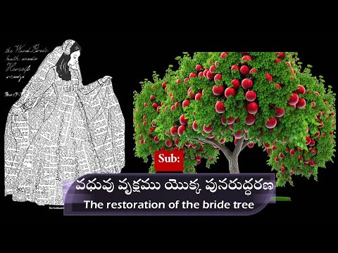 వధువు వృక్షము యొక్క పునరుద్ధరణ-1 (The Restoration of bride tree -1) 0n ...