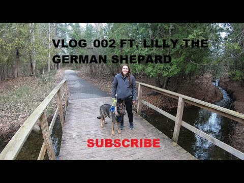 HIKING IN ALPENA.FT LILLY THE GERMAN SHEPARD VLOG 002 #alpena#hike# ...