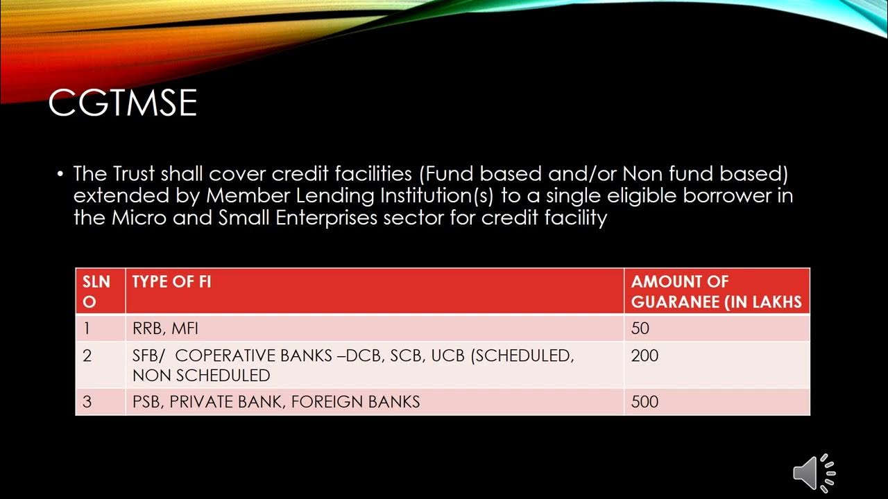 CGTMSE Credit Guarantee Fund Trust for Micro and Small Enterprises for IIBF and Bank promotions ...