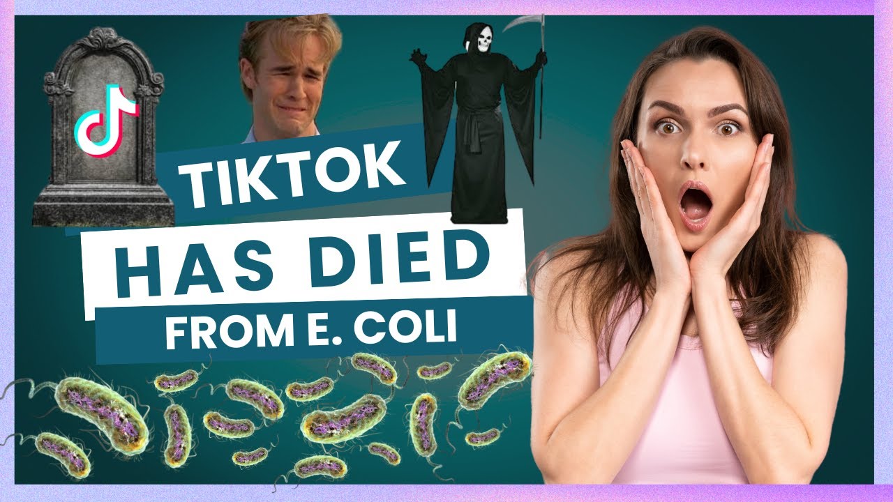 Yum TV | TikTok Compilation #26 - YouTube