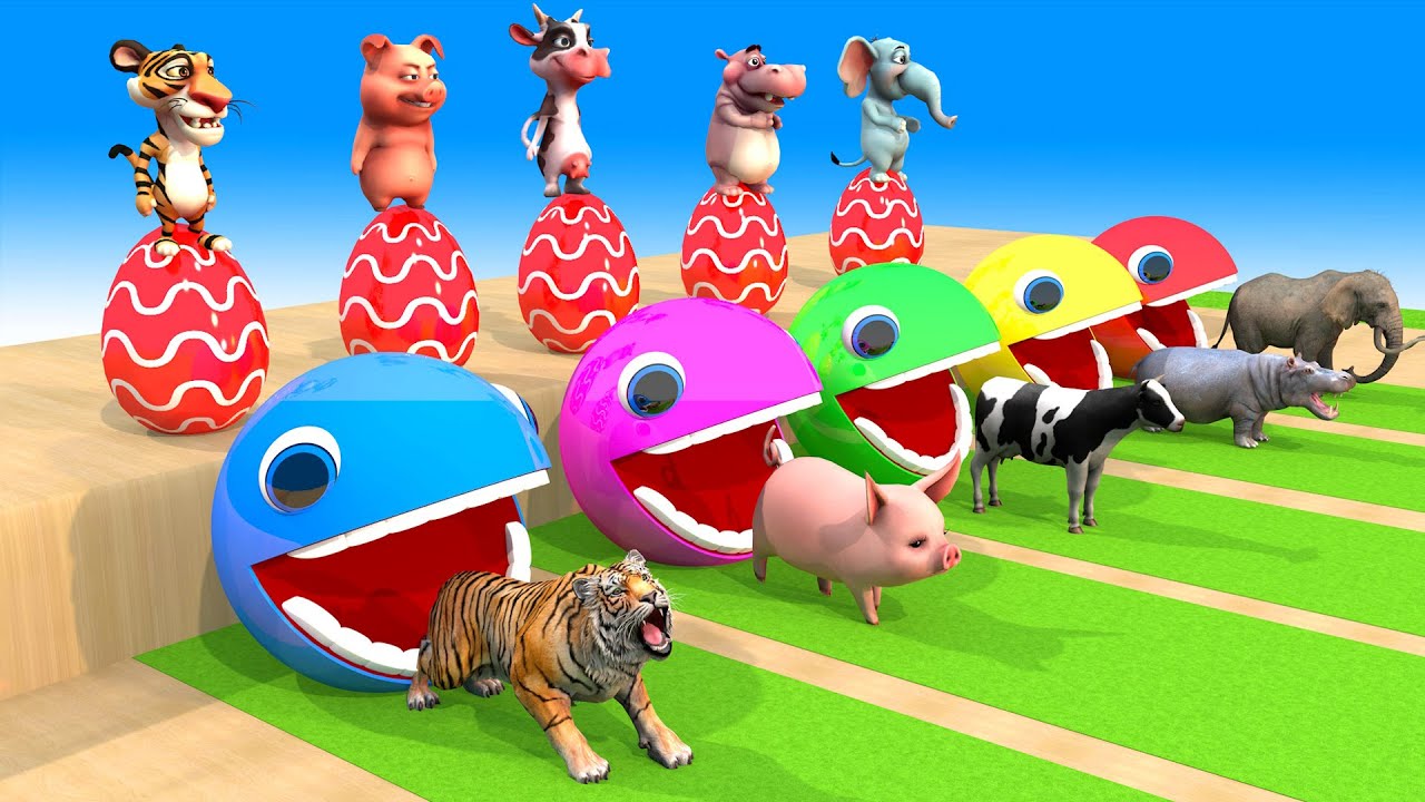 Cow Pacman Elephant Tiger Gorilla Hippo 3d Animal Long Slide Game Funny ...
