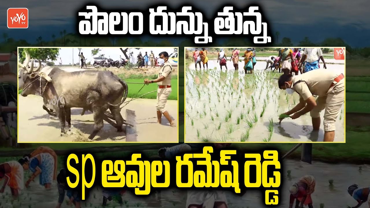 Tirupti SP Avula Ramesh Reddy IPS Farming Video | Tirupati Urban SP ...