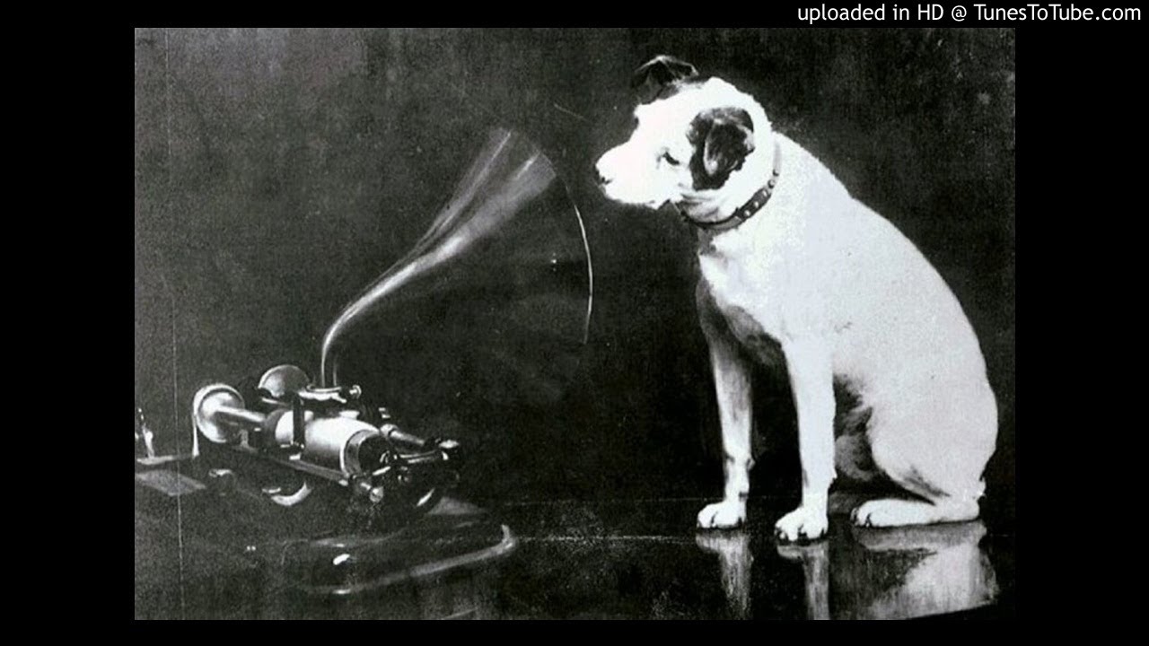 ACME Writing Academy Episode #6 - Voice - YouTube