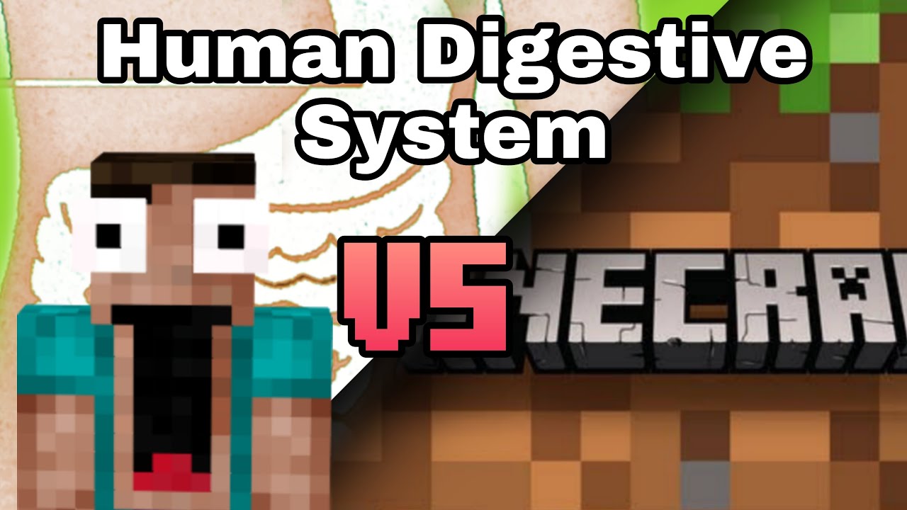 Human Digestive System in Minecraft Education Adventure - YouTube