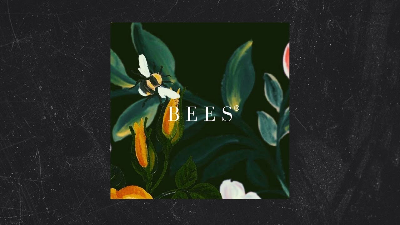 [FREE] Chill Type Beat ~ Bees | PantherVibes - YouTube
