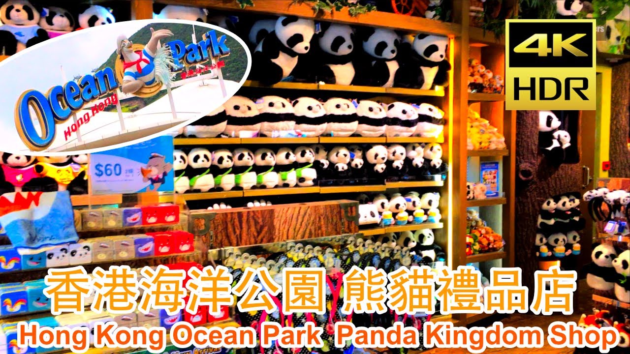 香港海洋公園🇭🇰熊貓禮品店 Hong Kong Ocean Park Panda Kingdom Shop - YouTube