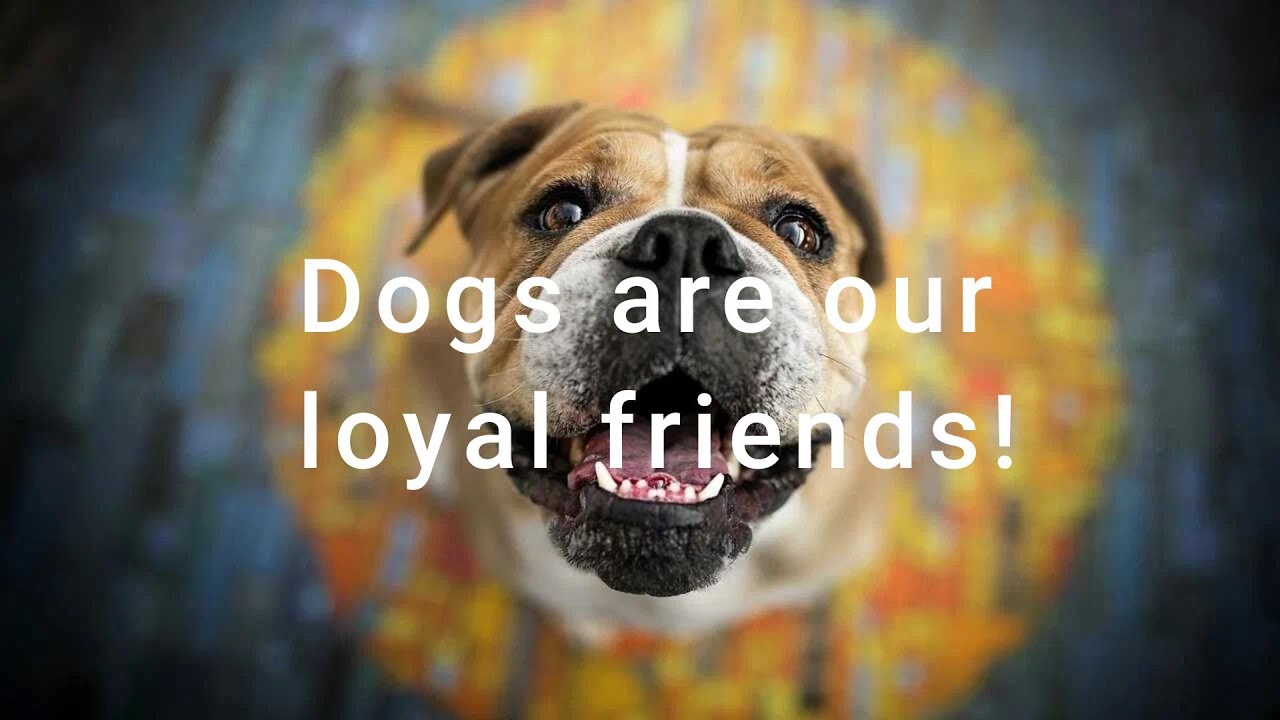 New friends of Jonik and Heavy - YouTube