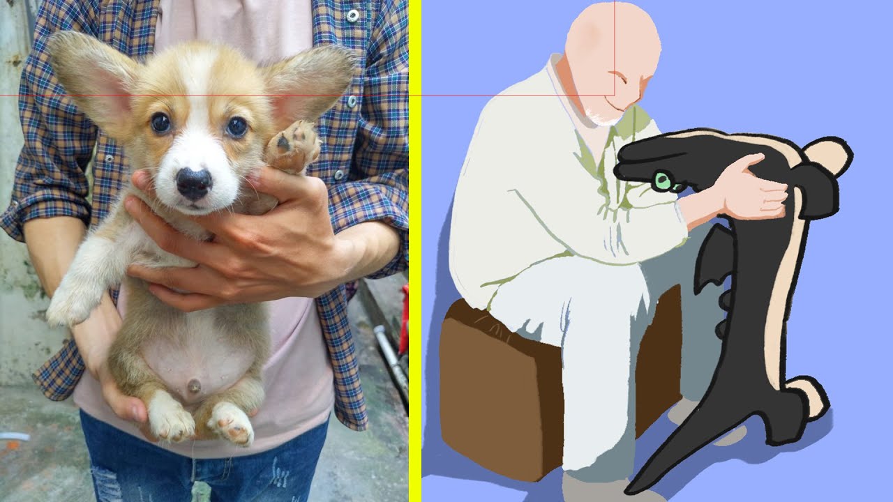 Cat Memes 😁 Toothless Dancing Meme [NEW VARIATIONS] 😁 Funniest Cats and ...