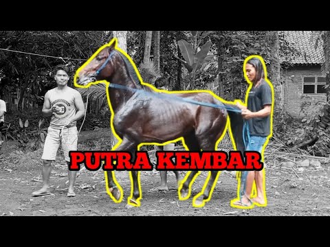 Putra Kembar Tambak Progaten - YouTube