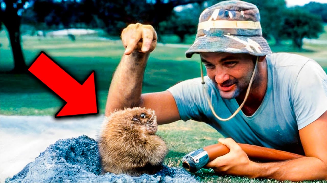 15 Weird Facts About Caddyshack (1980) You Never Knew - YouTube