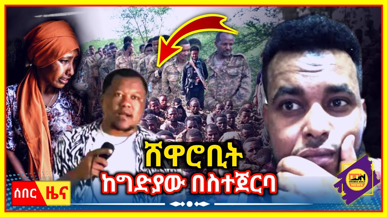 ሰበር ዜና - Mohammed Kedir Tegodi | Tigray News Today | Tigray TV | TDF ...