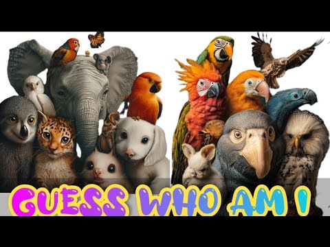 "Guess Who Am I? 🐠🍎 Fun Animal, Fish & Fruit Quiz for Kids!"non stop ...