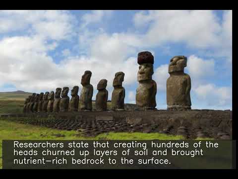 Moai monoliths replenished the soil with nutrients: Study - YouTube