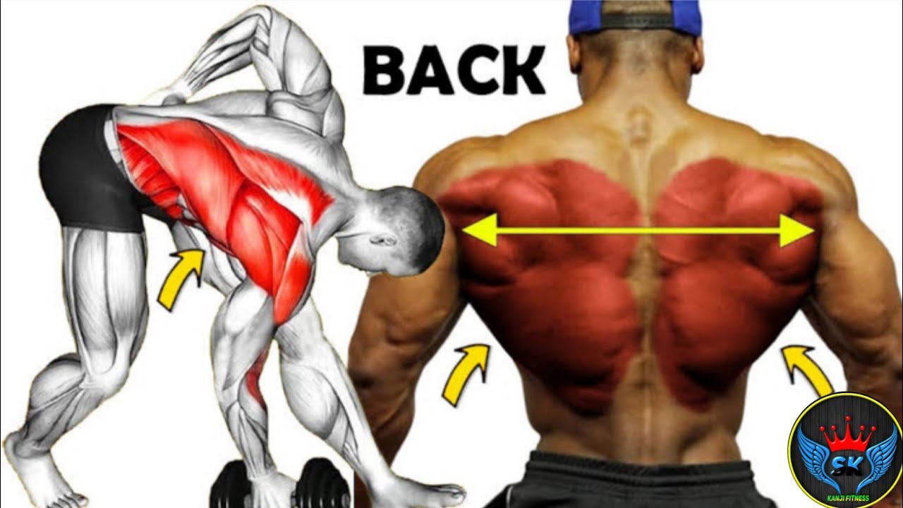 Back Workout Series Tender / 6 Exercises To Build Bigger Back | Back ...